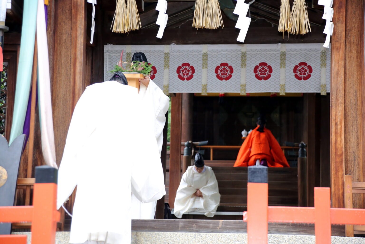Gallery | Kenkun Shrine