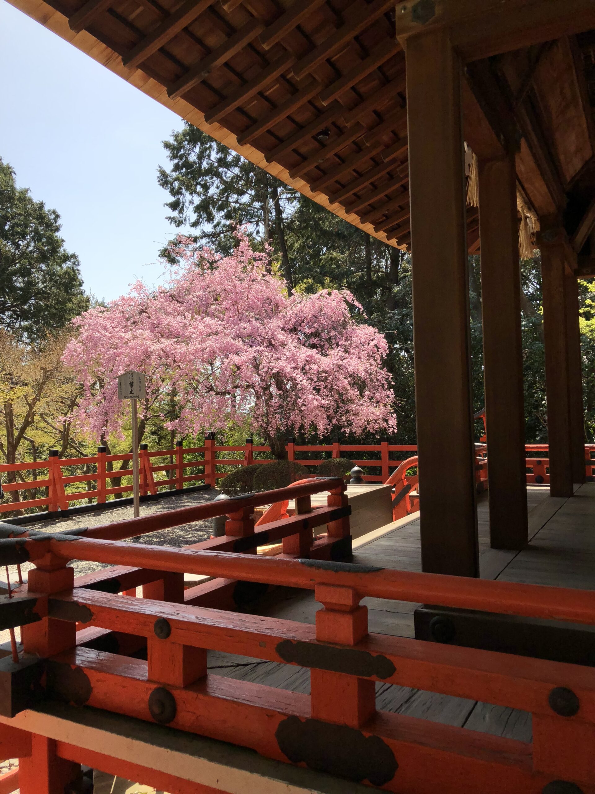 Gallery | Kenkun Shrine