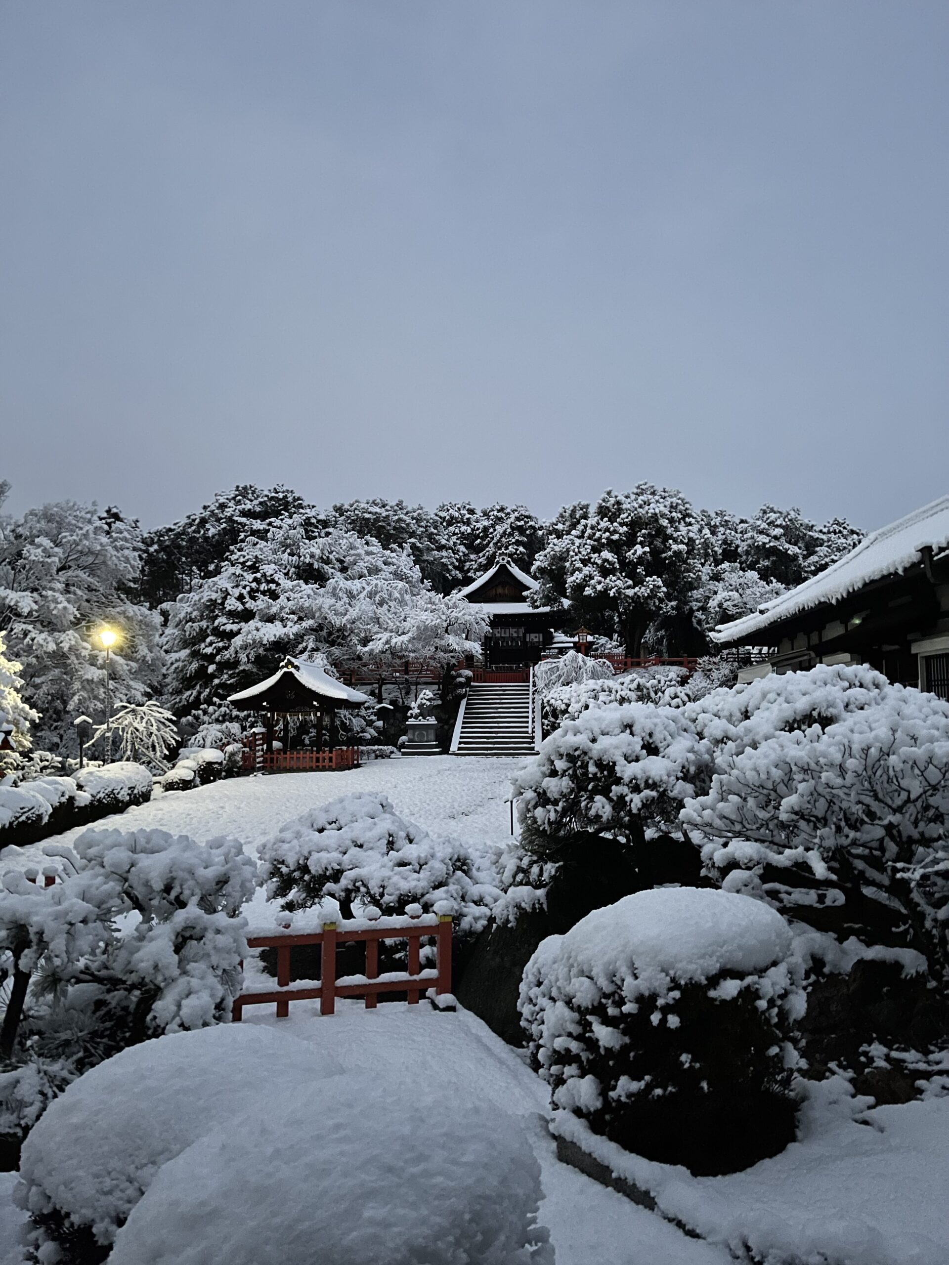 Gallery | Kenkun Shrine